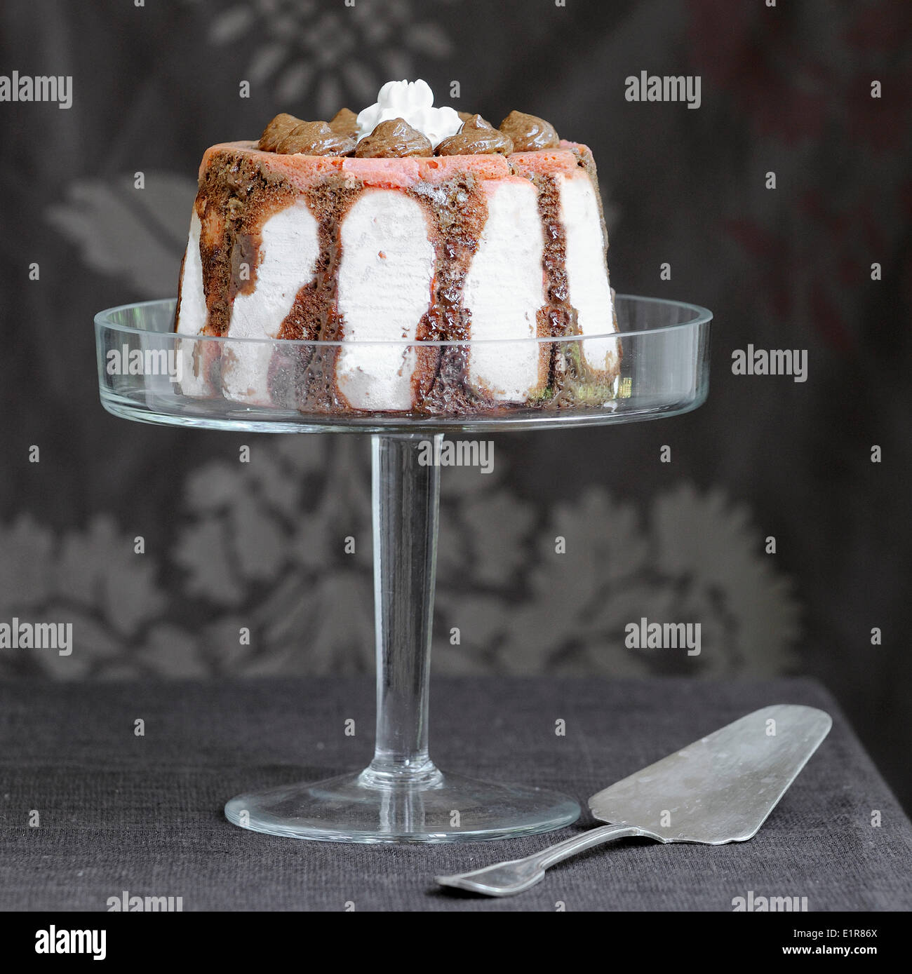 Chocolate and pink biscuit Charlotte Stock Photo - Alamy