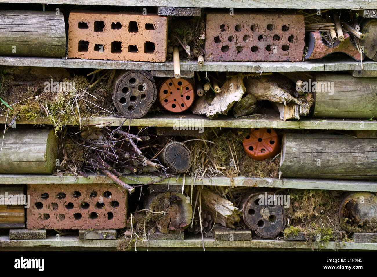 Insect hotel made out of pallets and other recycled materials. UK Stock ...