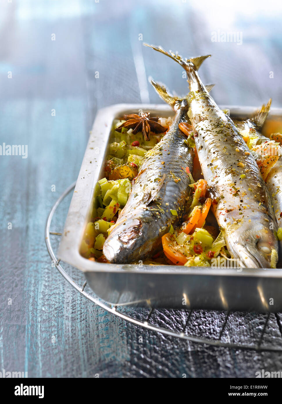 Mackerel color hi-res stock photography and images - Alamy