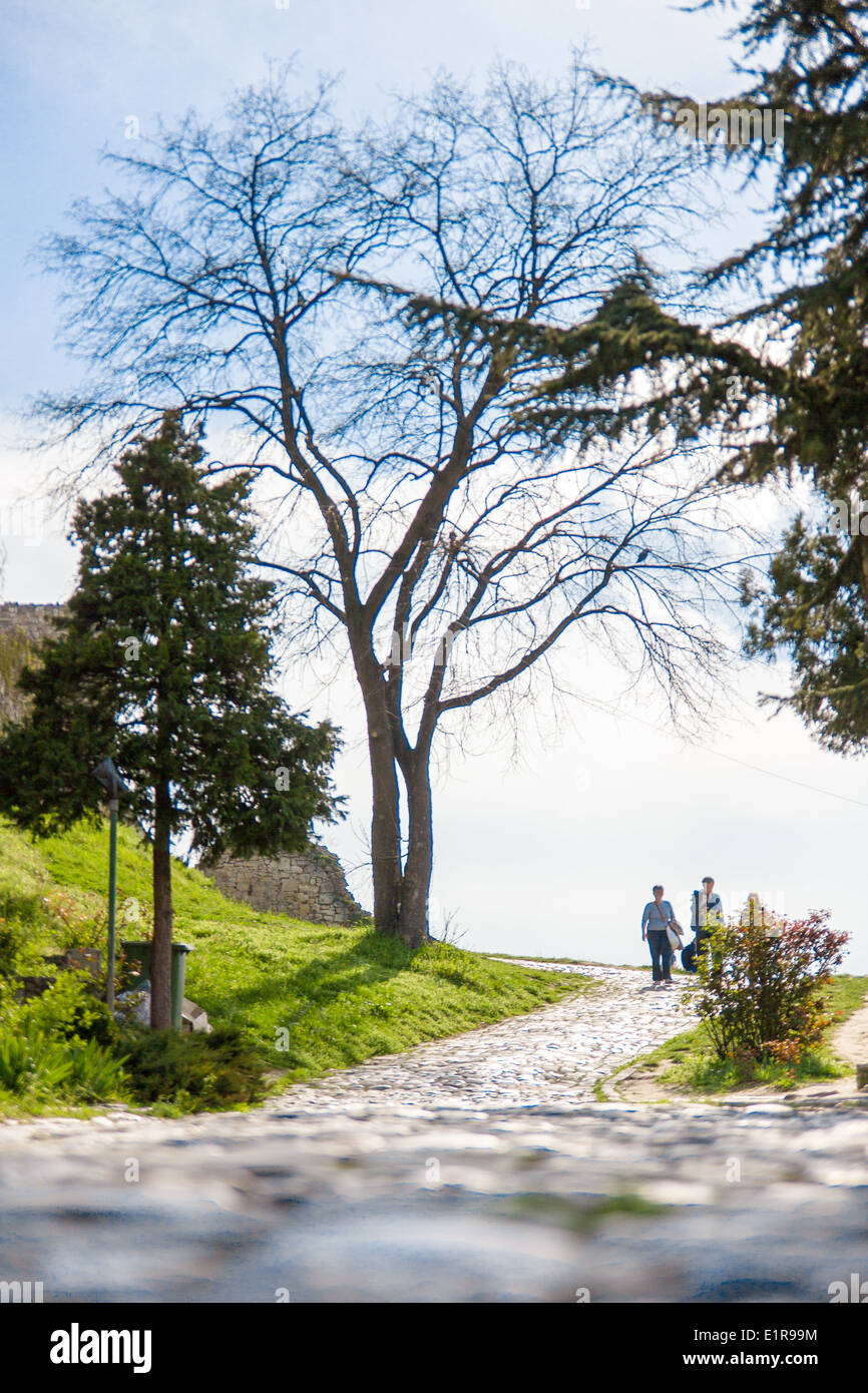 beautiful old turkey paving in the park, cobble road in Kalemegdan ...