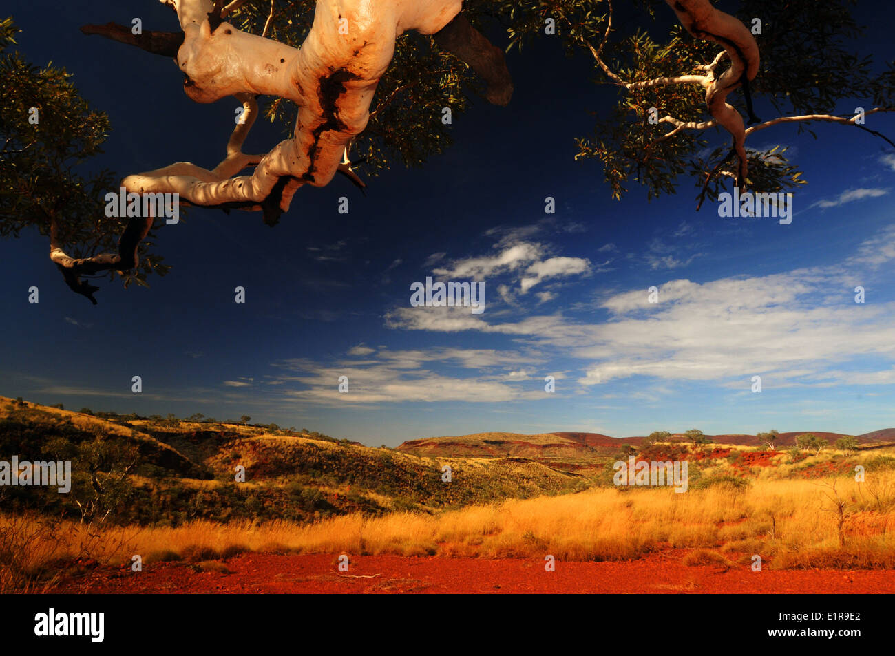 Outback pilbara hi-res stock photography and images - Alamy