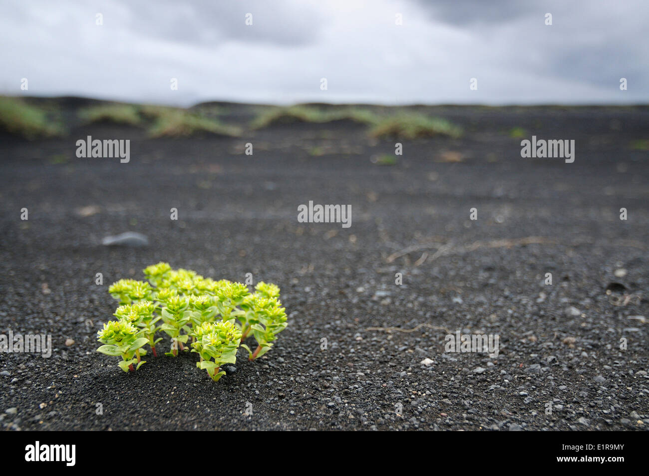 Plain sea background hi-res stock photography and images - Alamy