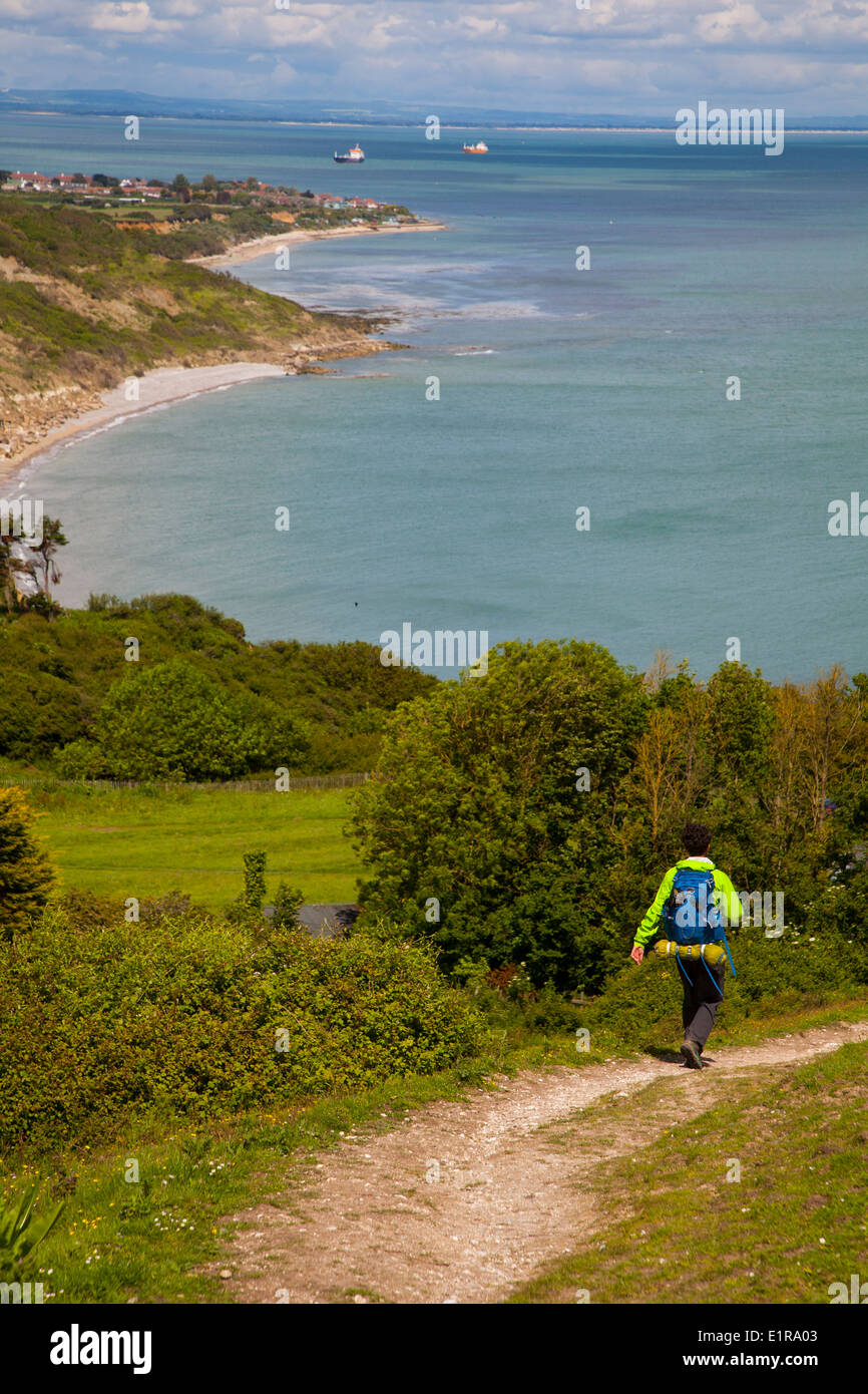 Walker, Rambler, Walking, Whitecliff Bay, Bembridge, Culver Down, Isle ...