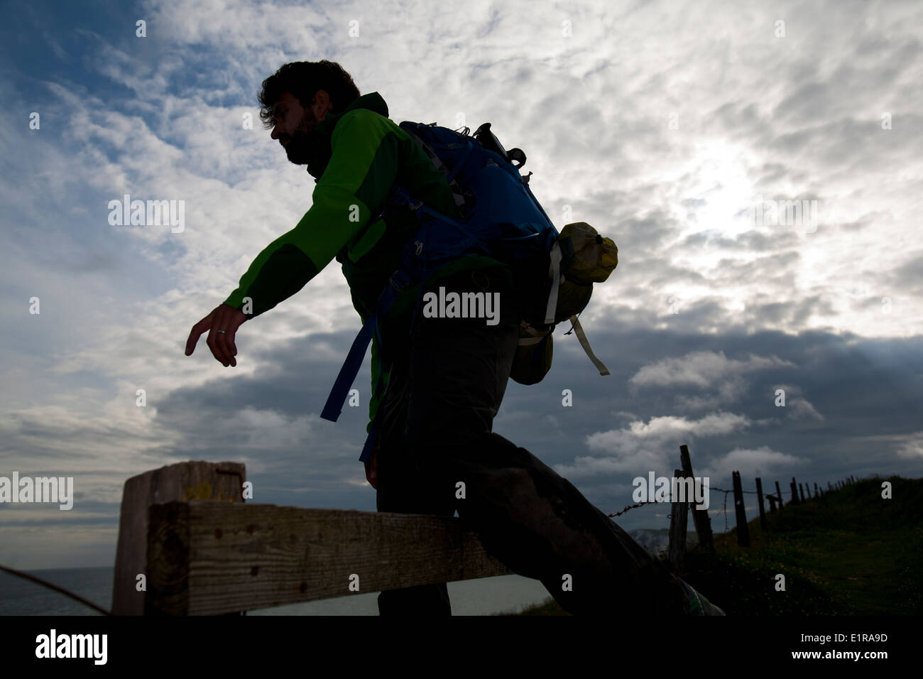 Walker, Rambler, Comton Bay, Isle of Wight, England, UK Stock Photo - Alamy