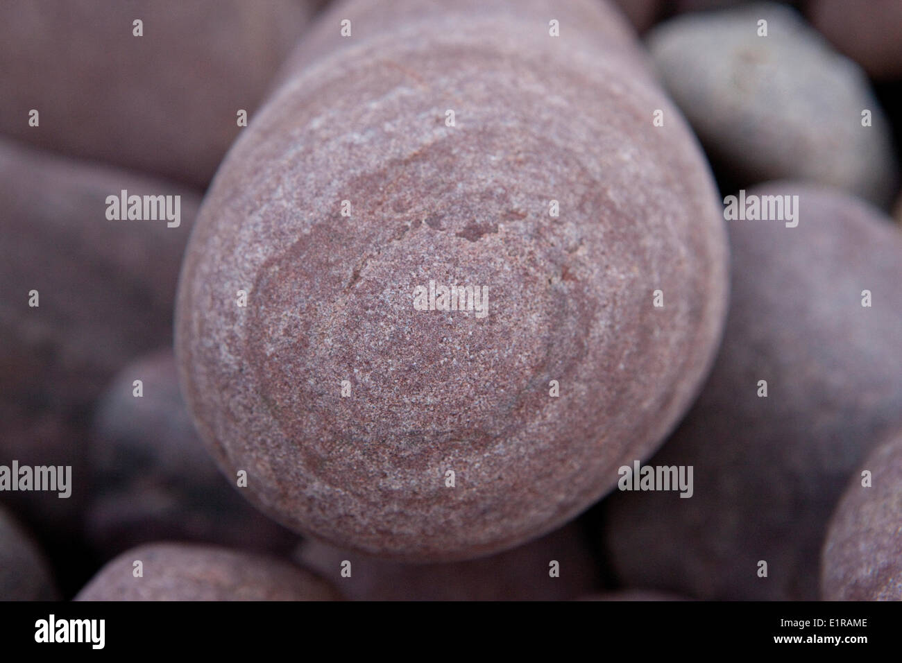 Rocks on the beach Stock Photo - Alamy