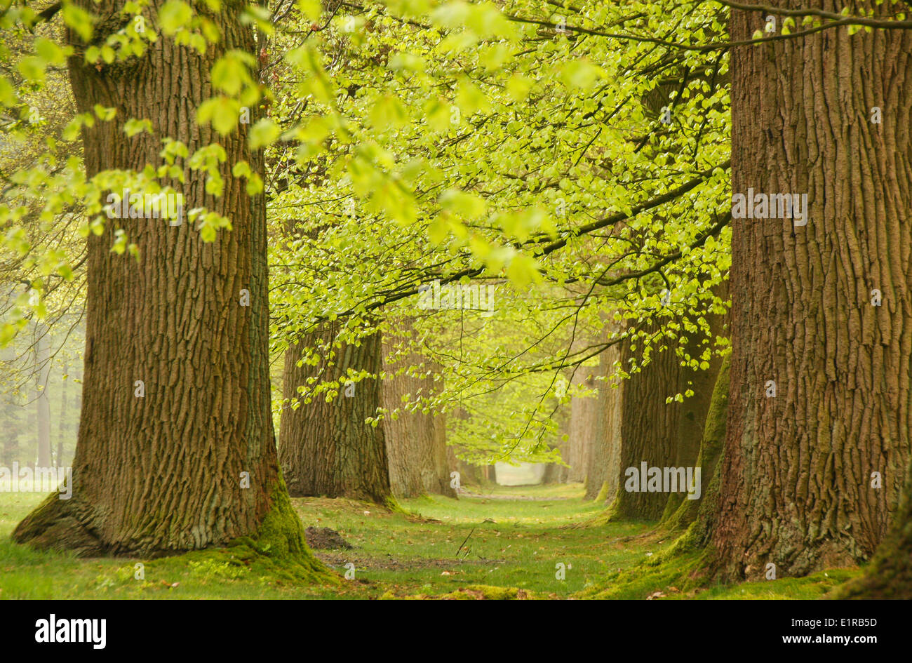 Het royal family hi-res stock photography and images - Alamy