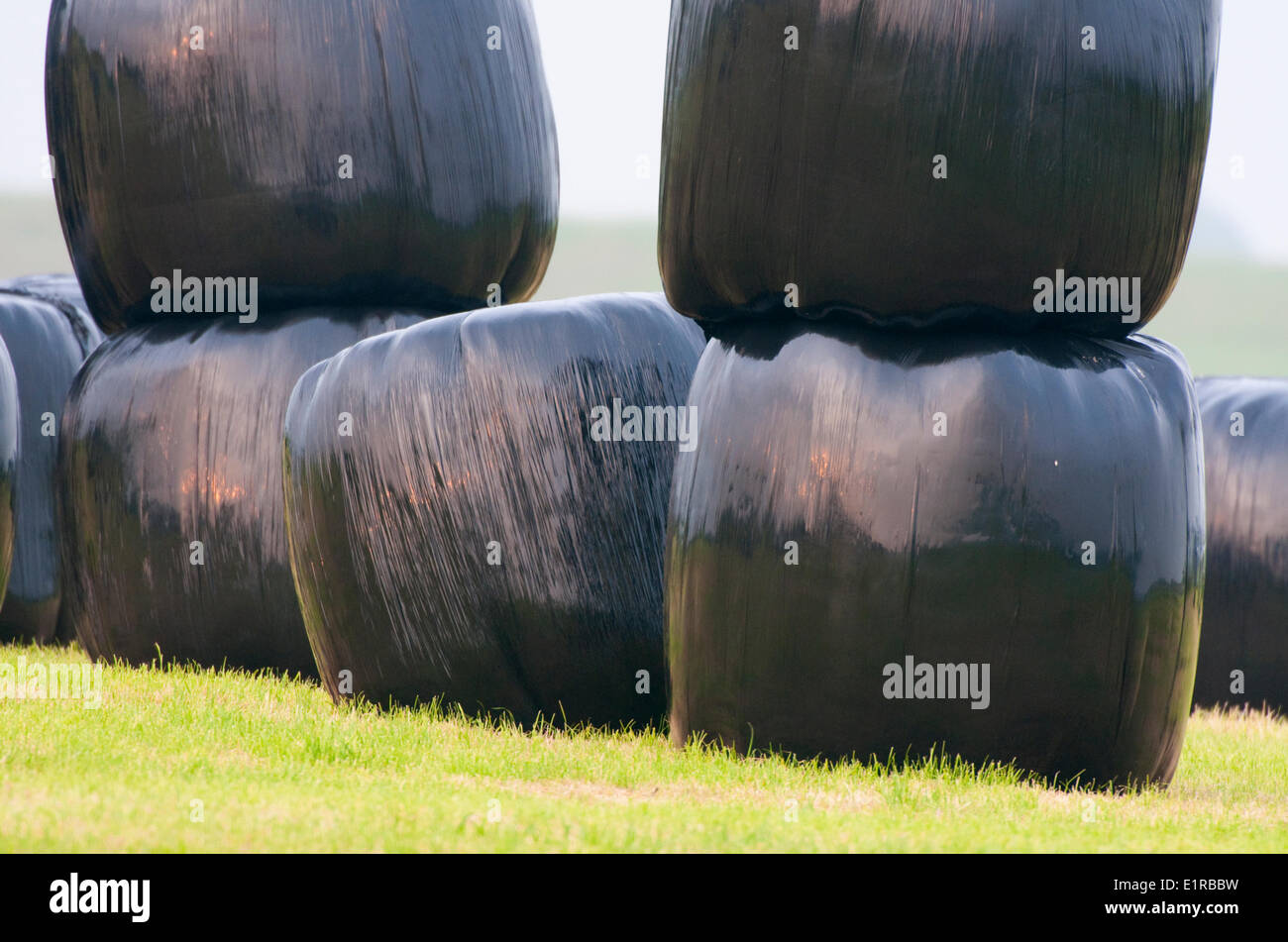 Plastic bales hi-res stock photography and images - Alamy
