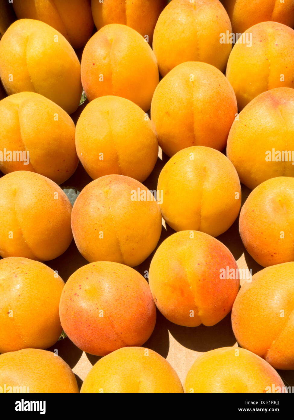 Apricots sitting in a box with a uniform pattern Stock Photo - Alamy