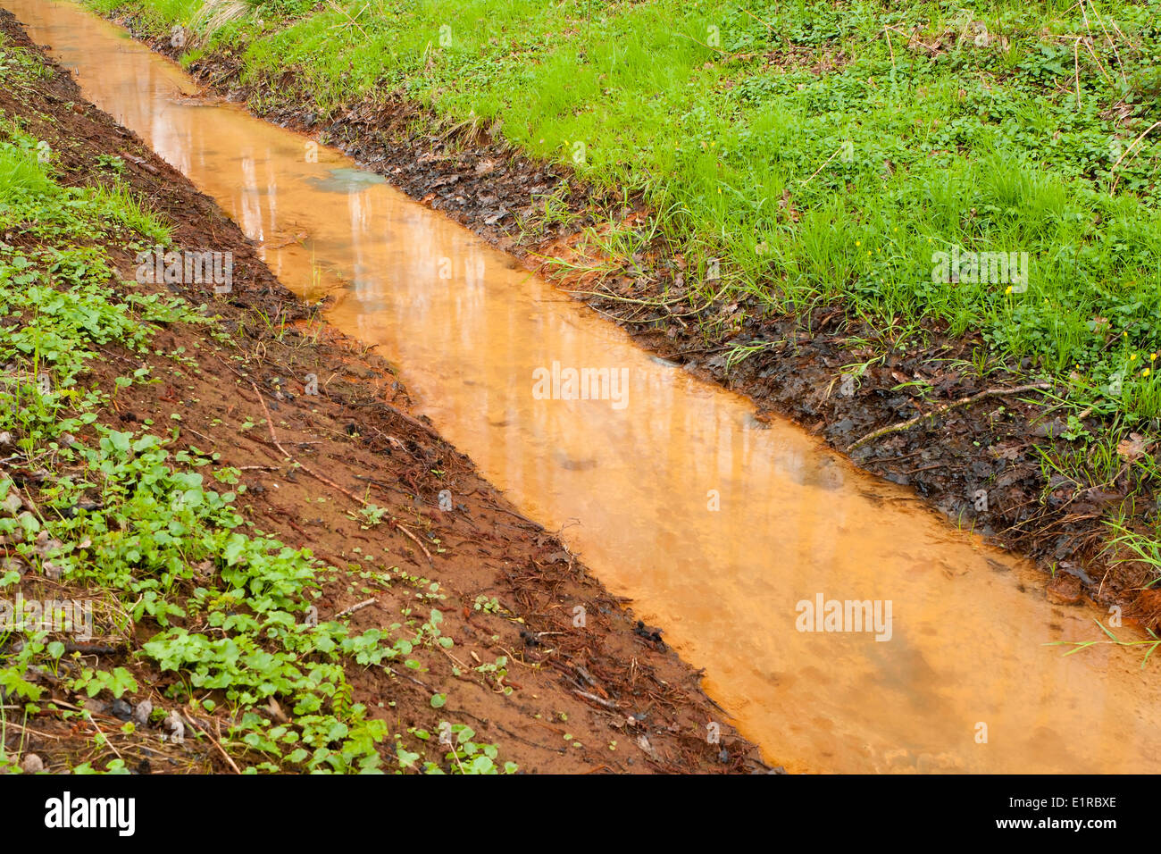 The rusty brown colour of the water is caused by the many springs that ...