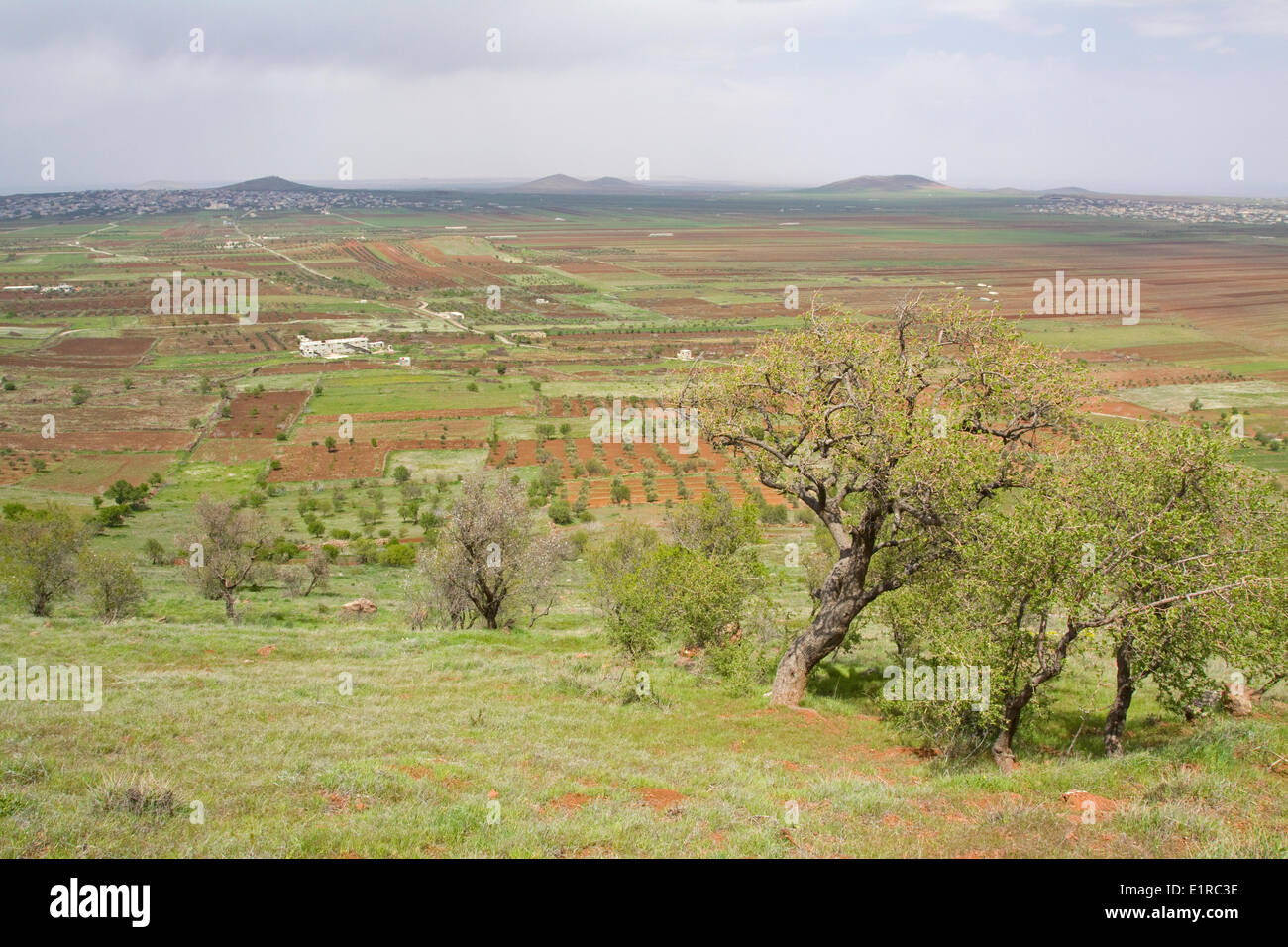 View from an old volcano on Djebel ed Druz Stock Photo - Alamy