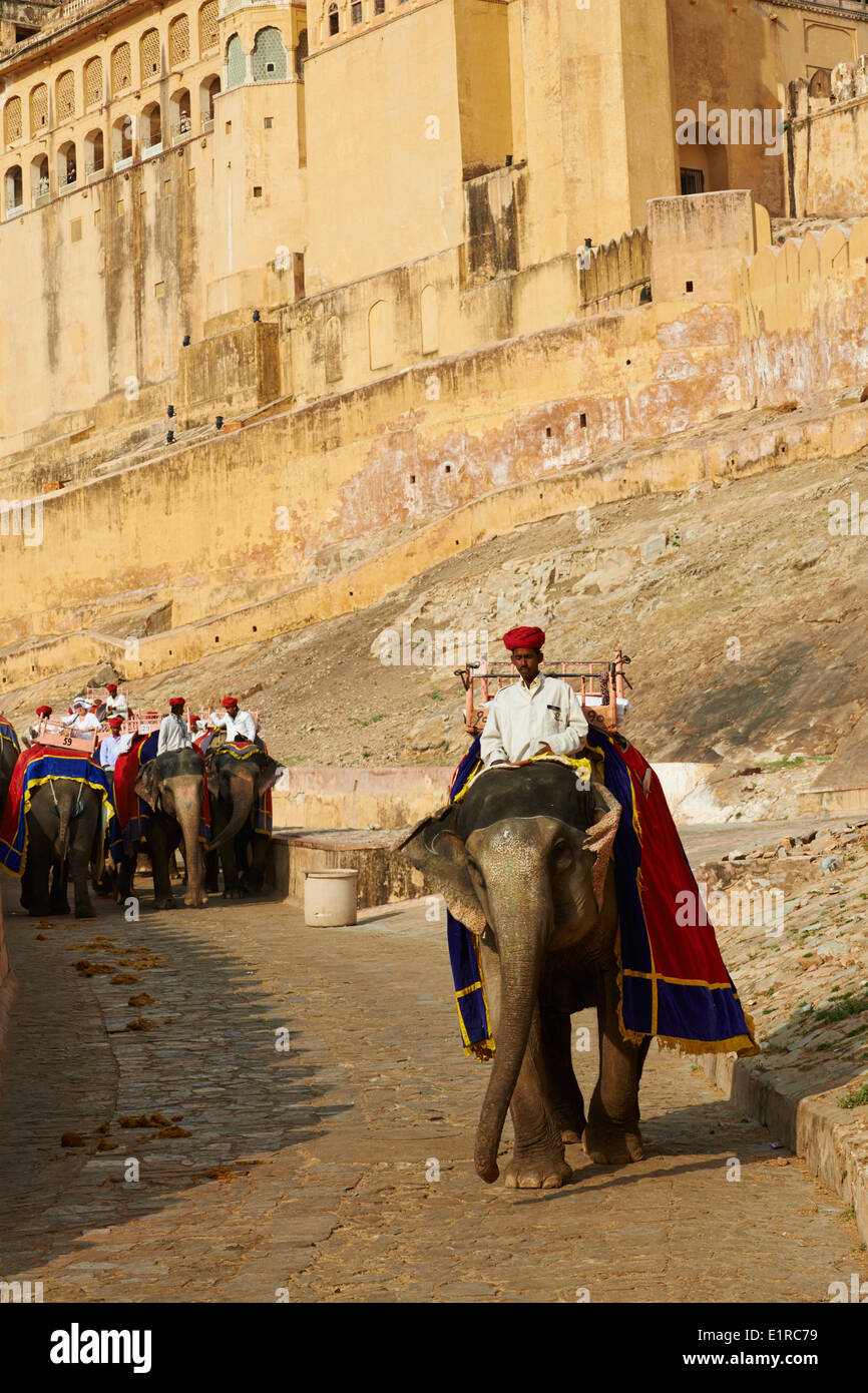 India, Rajasthan, Jaipur the pink city, Amber fort Stock Photo - Alamy
