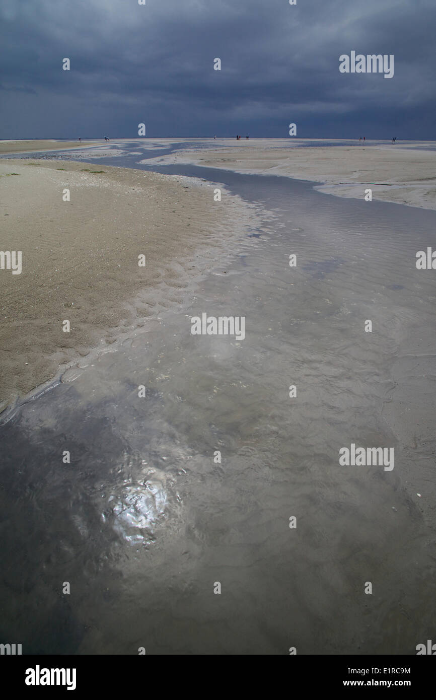 Engelsmanplaat, at the Wadden Sea, between the islands Ameland and ...