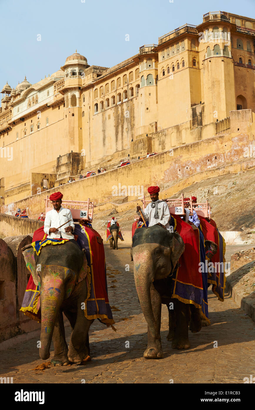 Pink city jaipur elephant hi-res stock photography and images - Alamy