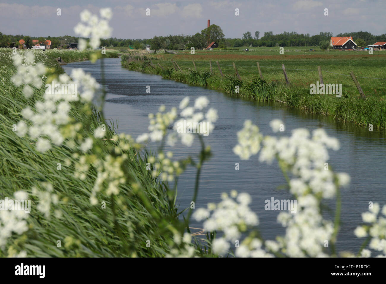 The polder landscape hi-res stock photography and images - Alamy