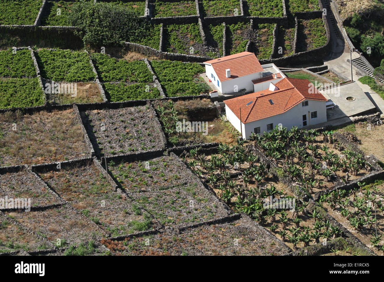 bird's-eye view of house with terraces Stock Photo - Alamy