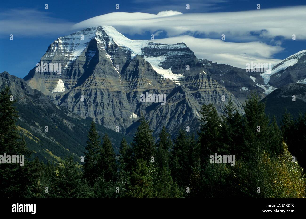 View to the peak of Mount Robson in B.C. Canada Stock Photo - Alamy
