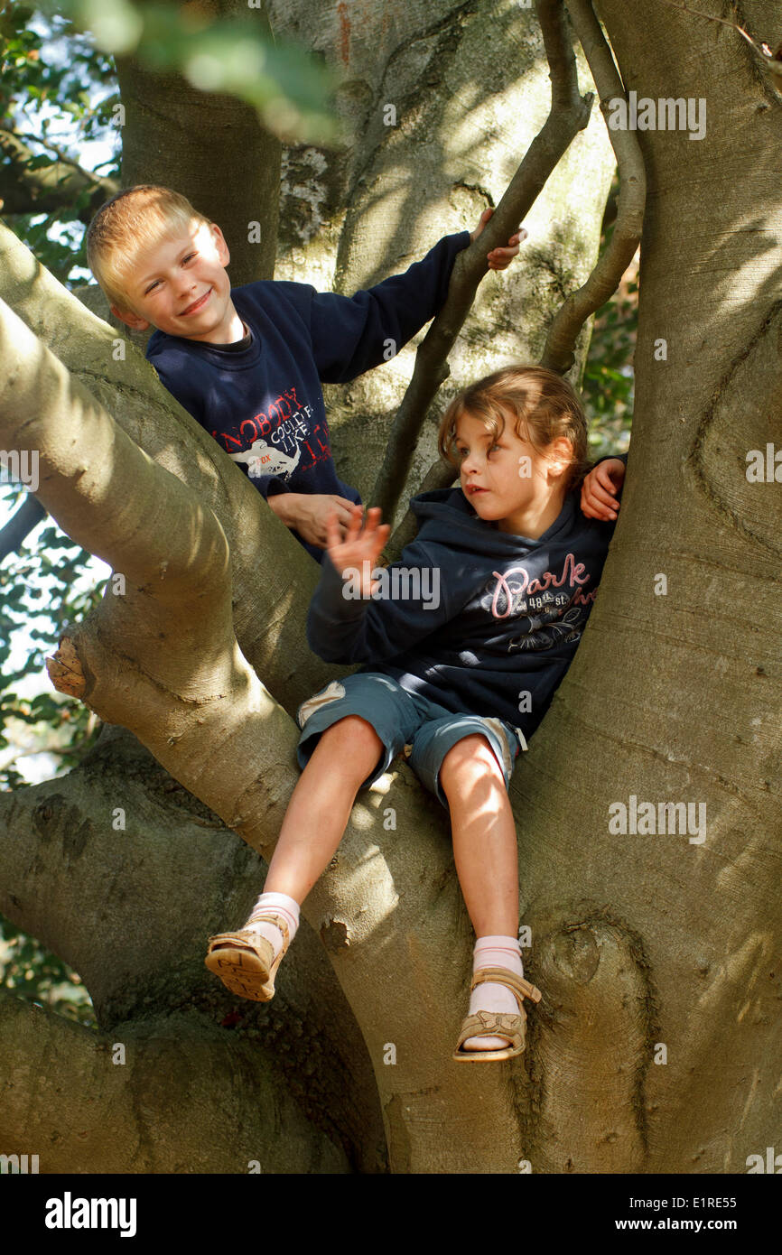 children in a tree Stock Photo - Alamy