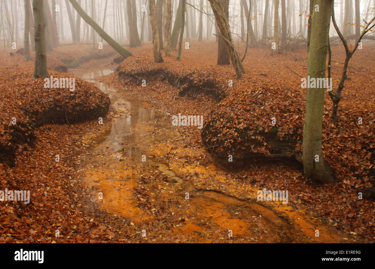 Sprengenbeken High Resolution Stock Photography and Images - Alamy