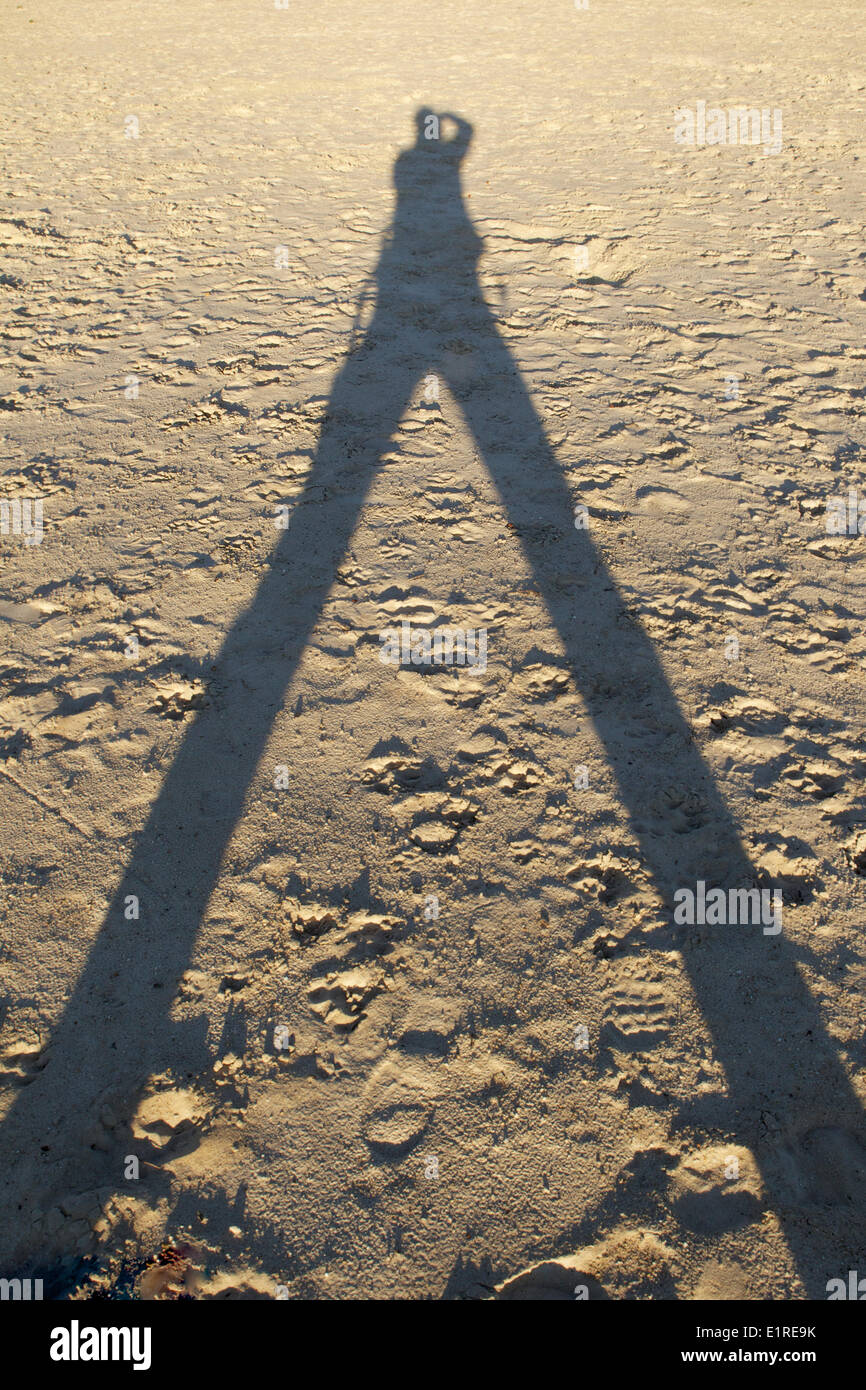 Shadow of the photographer on sand Stock Photo - Alamy