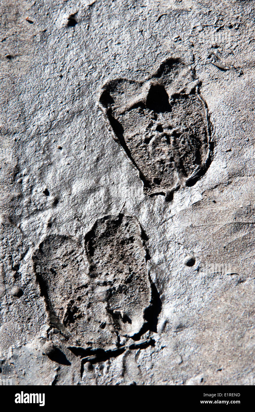 Deer hoof print hi-res stock photography and images - Alamy