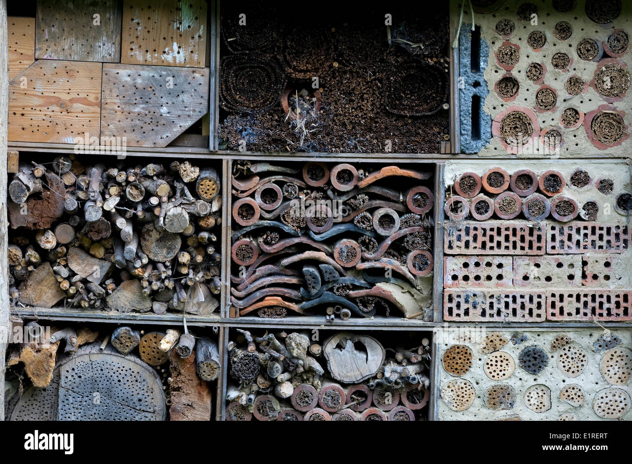 Nesting place for solitary bees Stock Photo - Alamy