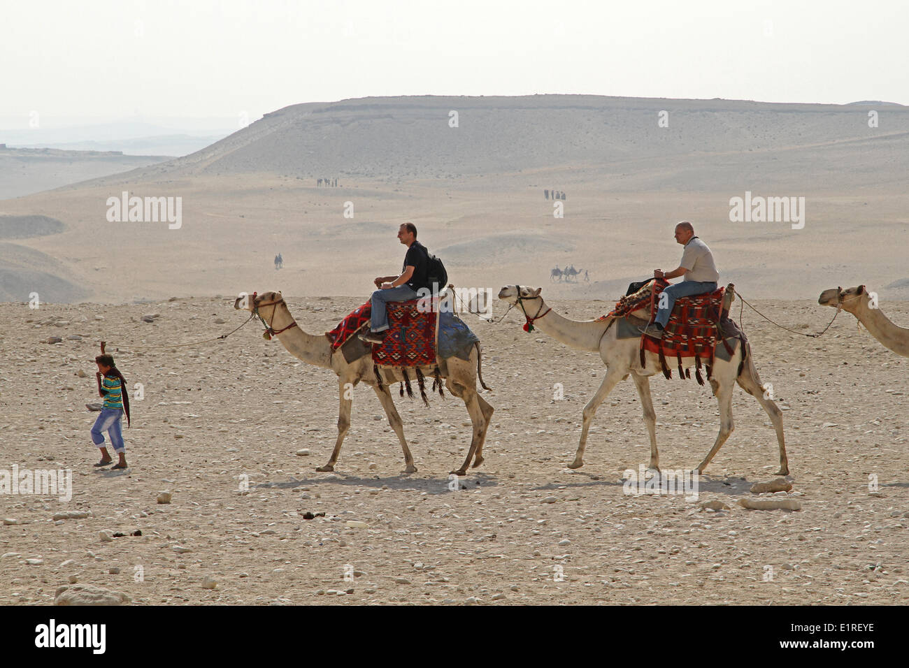 camel ride for tourists near pyramid of Cheops Stock Photo - Alamy