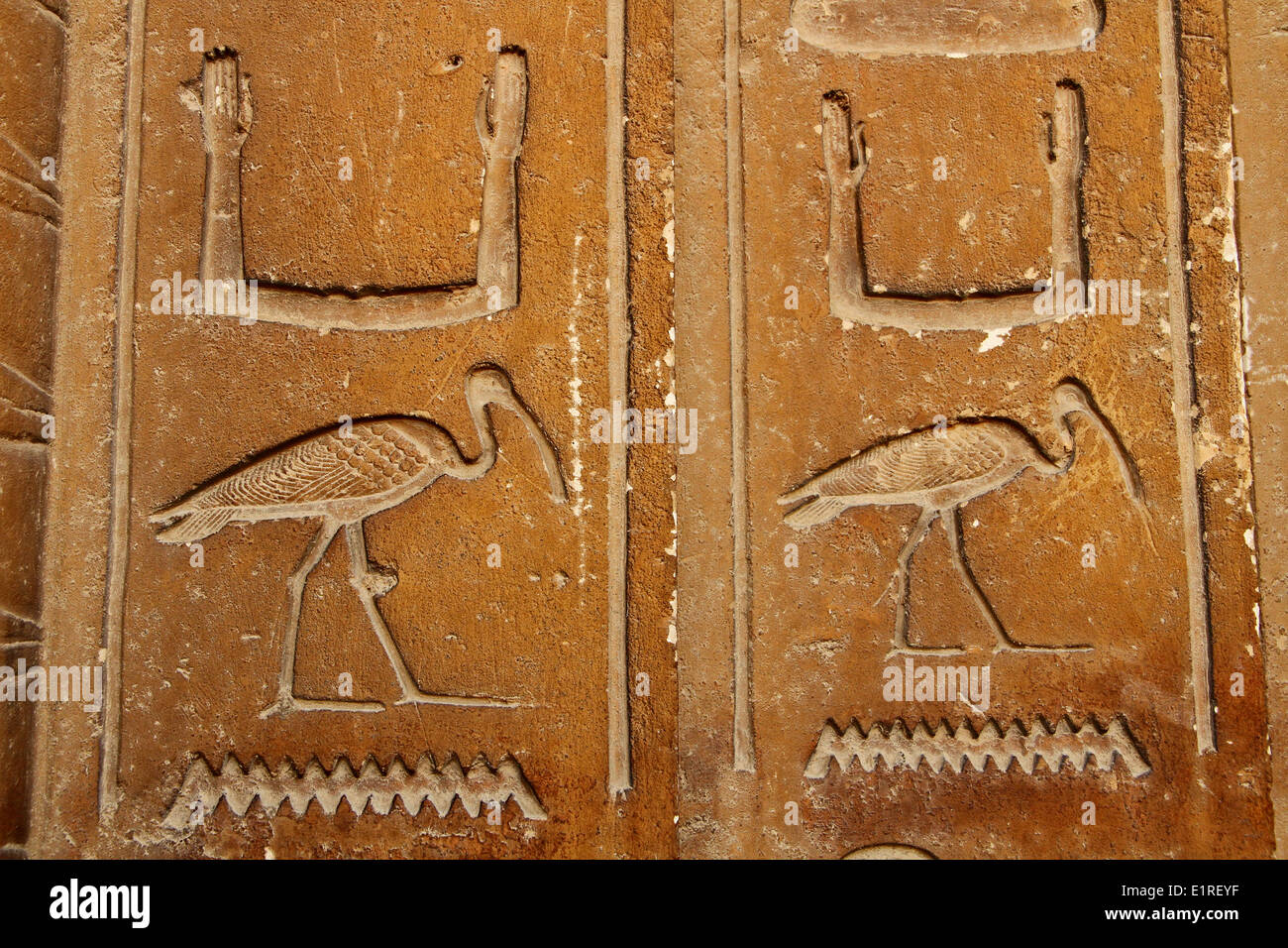 Egyptian Bird Hieroglyphics