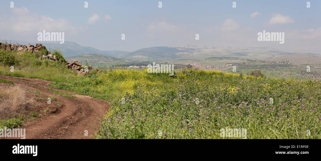 Migdal HaEmek city in North District Israel In 2007 city had total ...