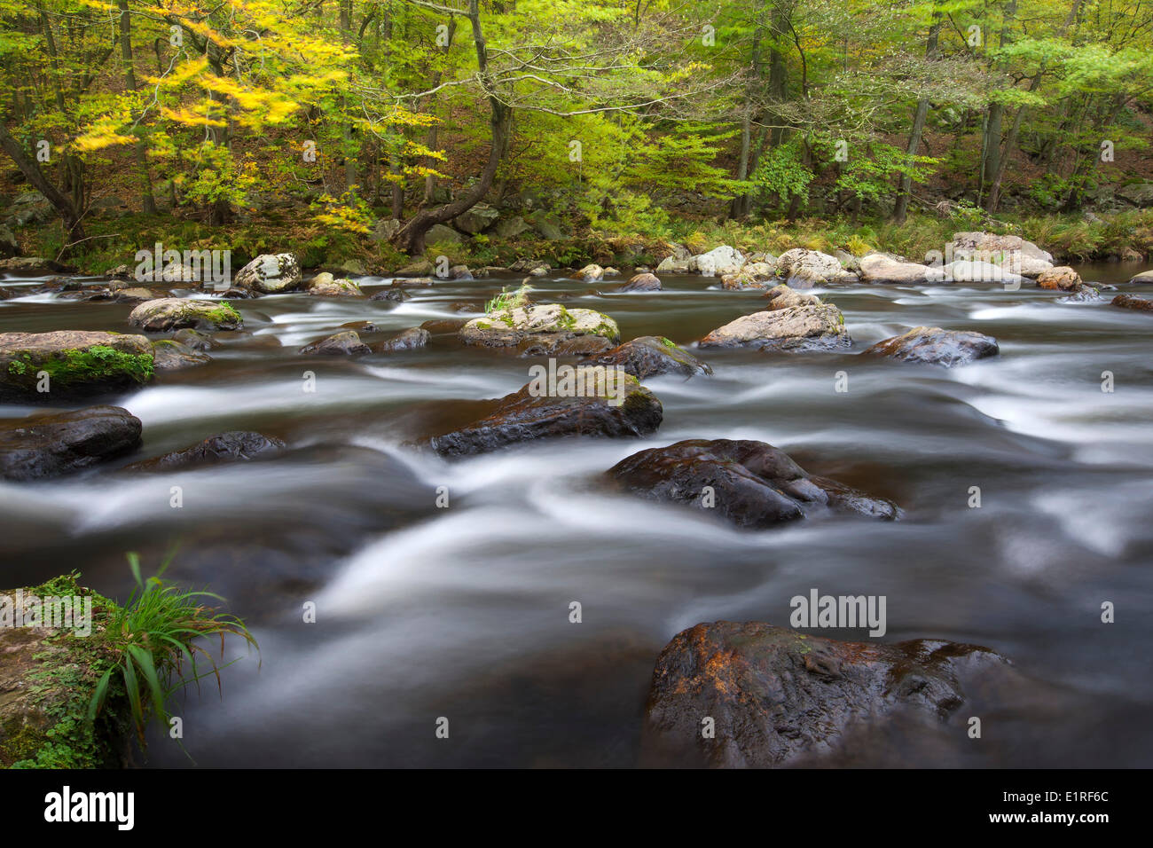 The river ambleve hi-res stock photography and images - Alamy
