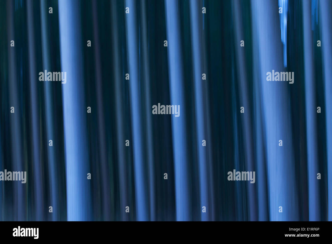 Abstract image tree hi-res stock photography and images - Alamy