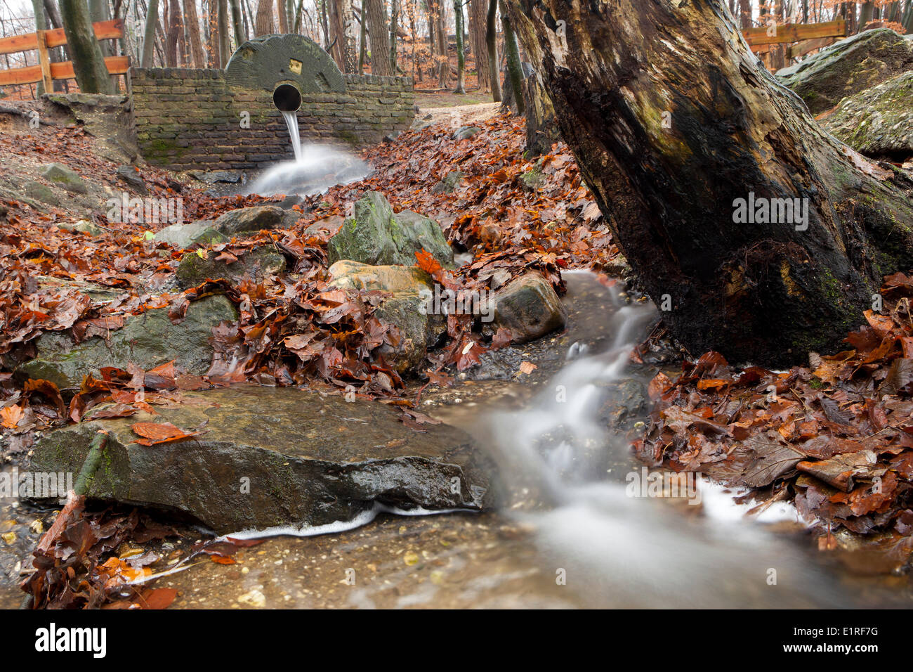 Streamlet in autumn forest hi-res stock photography and images - Alamy