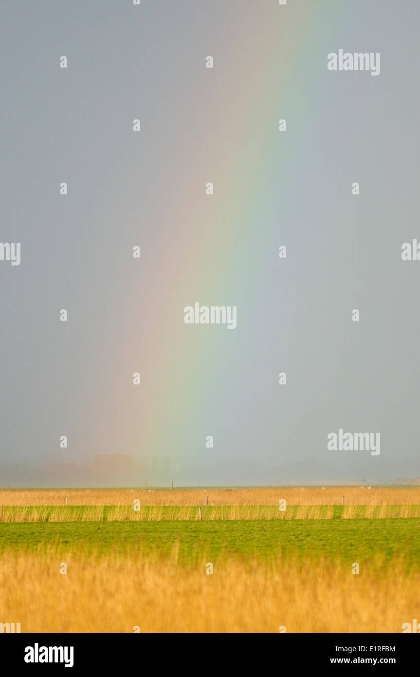 Global rainbow hi-res stock photography and images - Alamy