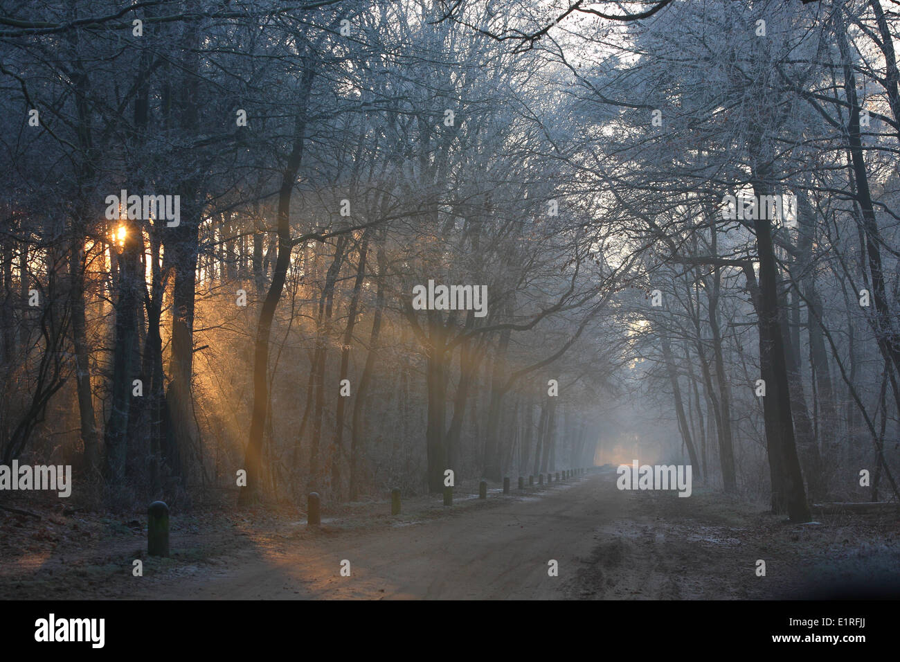 First beams hi-res stock photography and images - Alamy