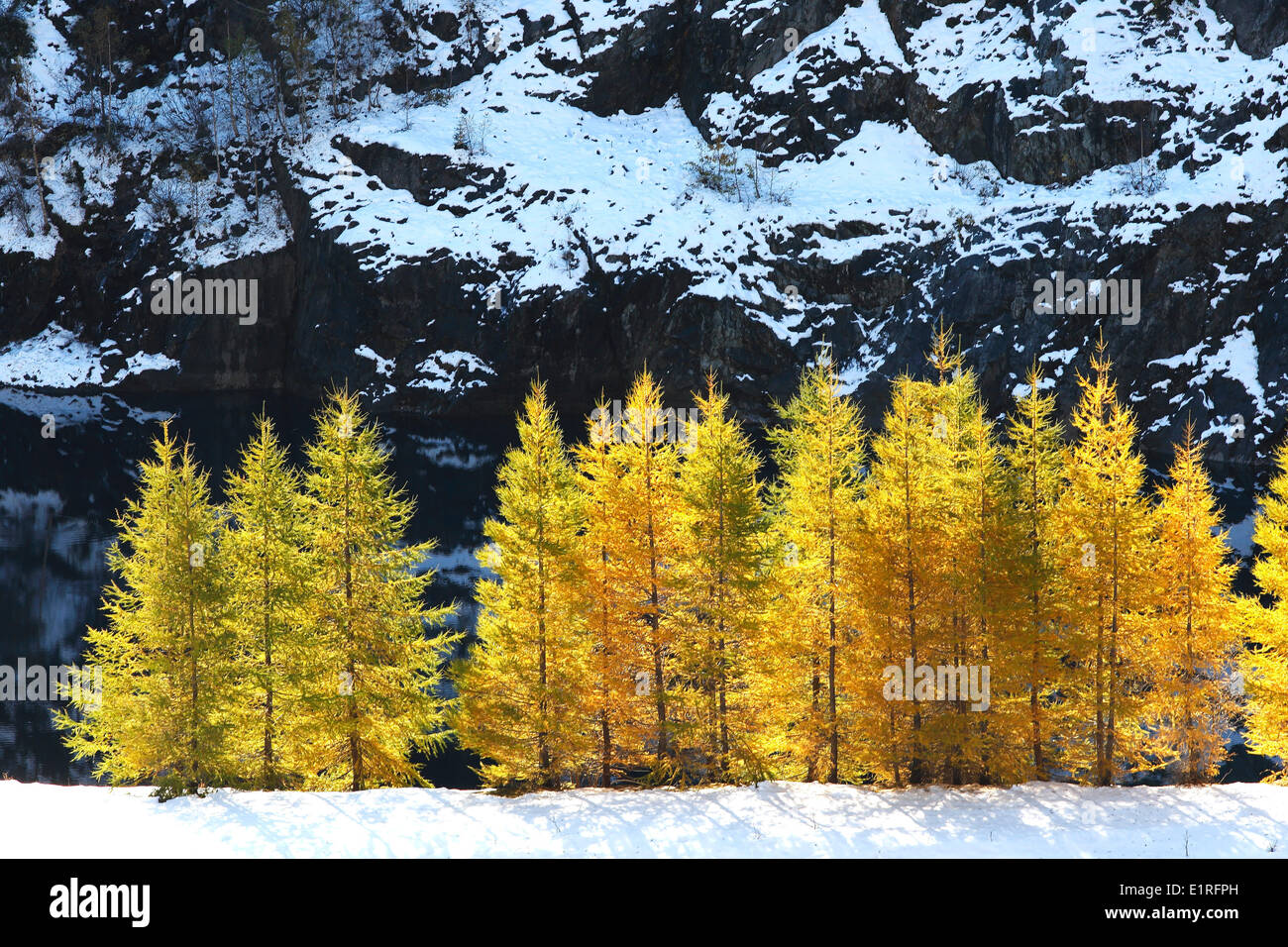 Dawn french snow white hi-res stock photography and images - Alamy