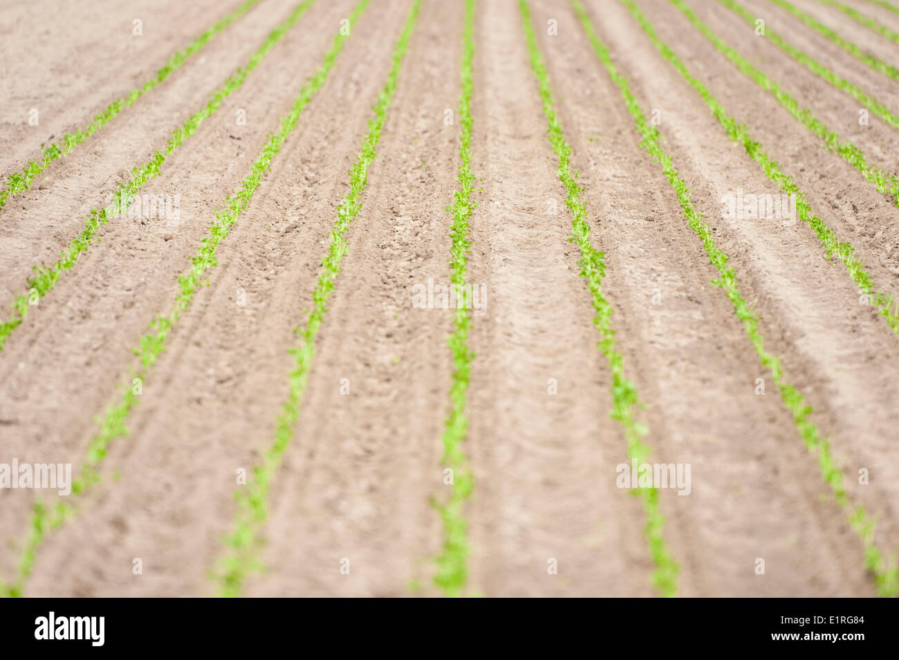 Gps guided tractor hi-res stock photography and images - Alamy