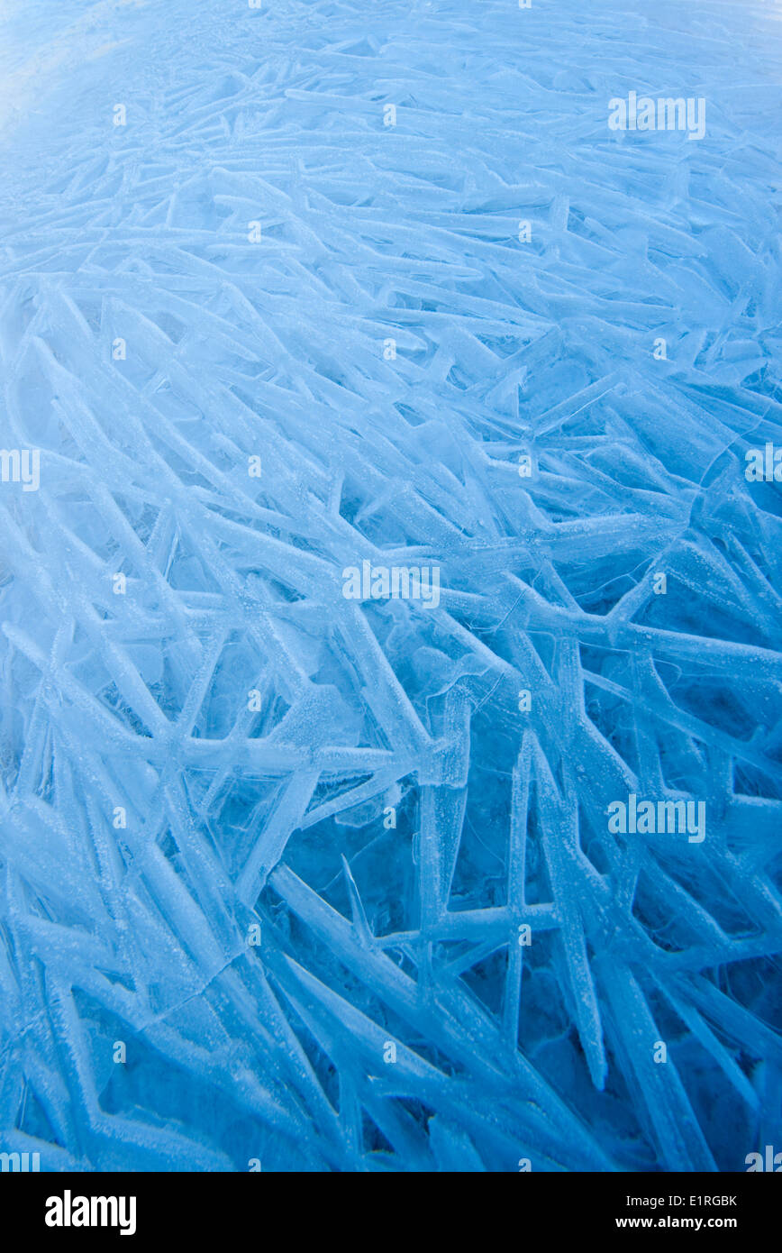 ice formation in the dutch delta during an extended period of freezing ...