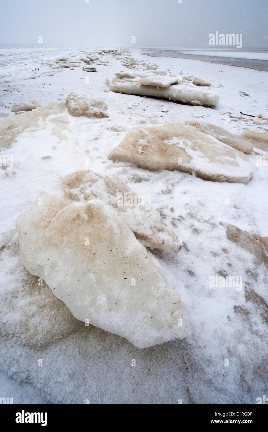 sea ice on a beach in the Dutch delta Stock Photo - Alamy