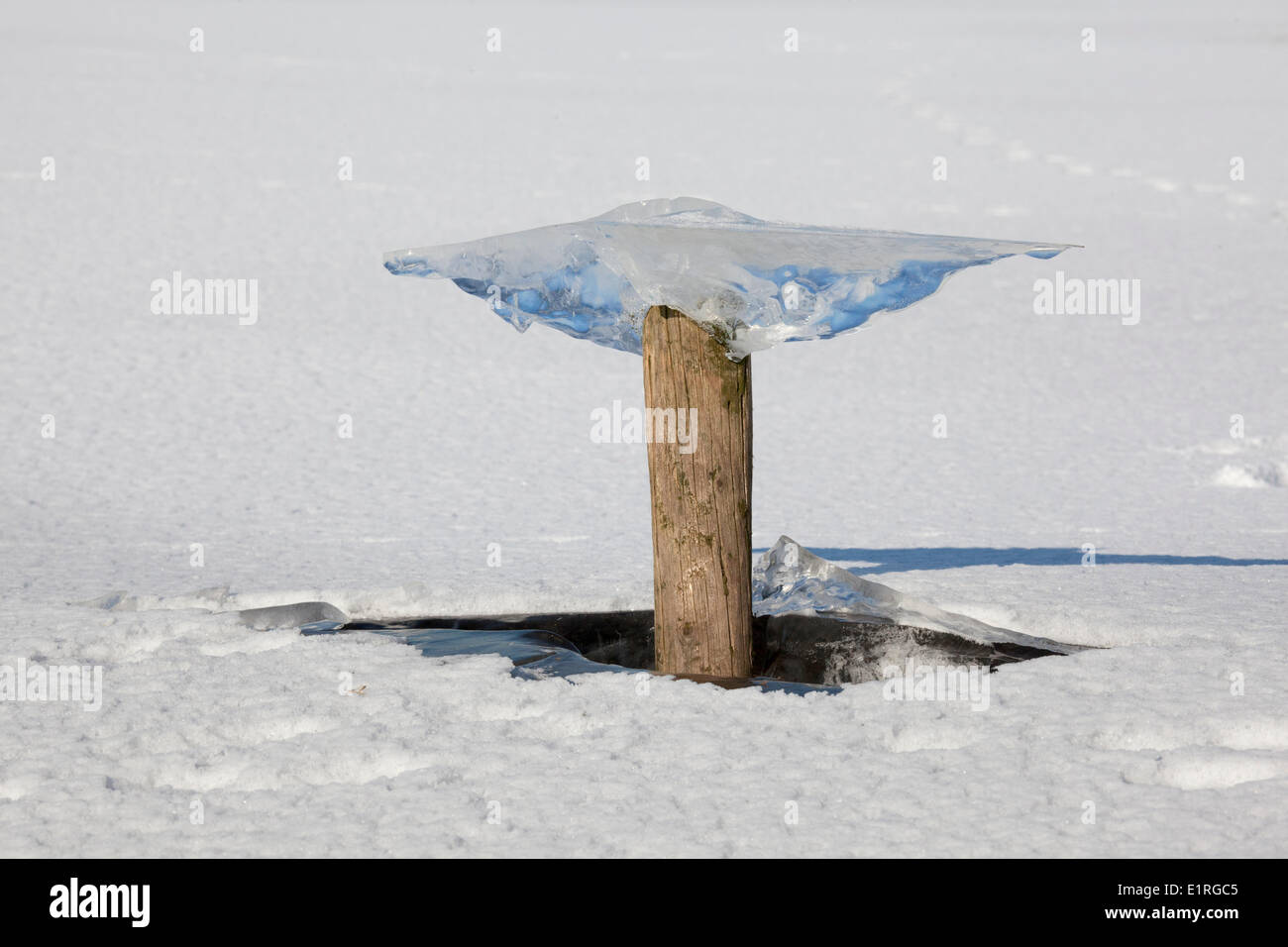 Ice on the pole indicates the original water level during the freezing ...