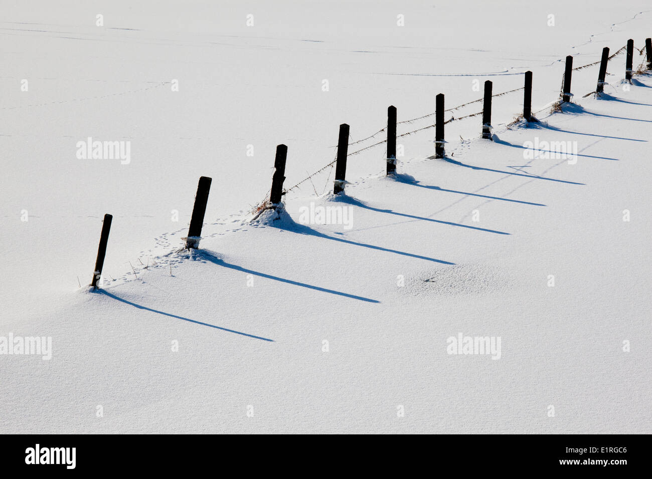 Fence in flooded floodplains of the river IJssel near Deventer Stock ...