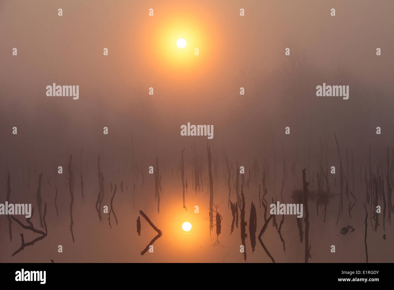First beams hi-res stock photography and images - Alamy