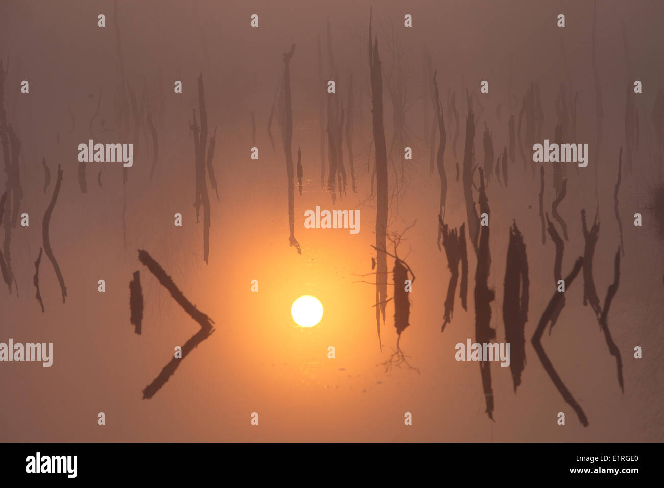 reflection of the sun Stock Photo - Alamy