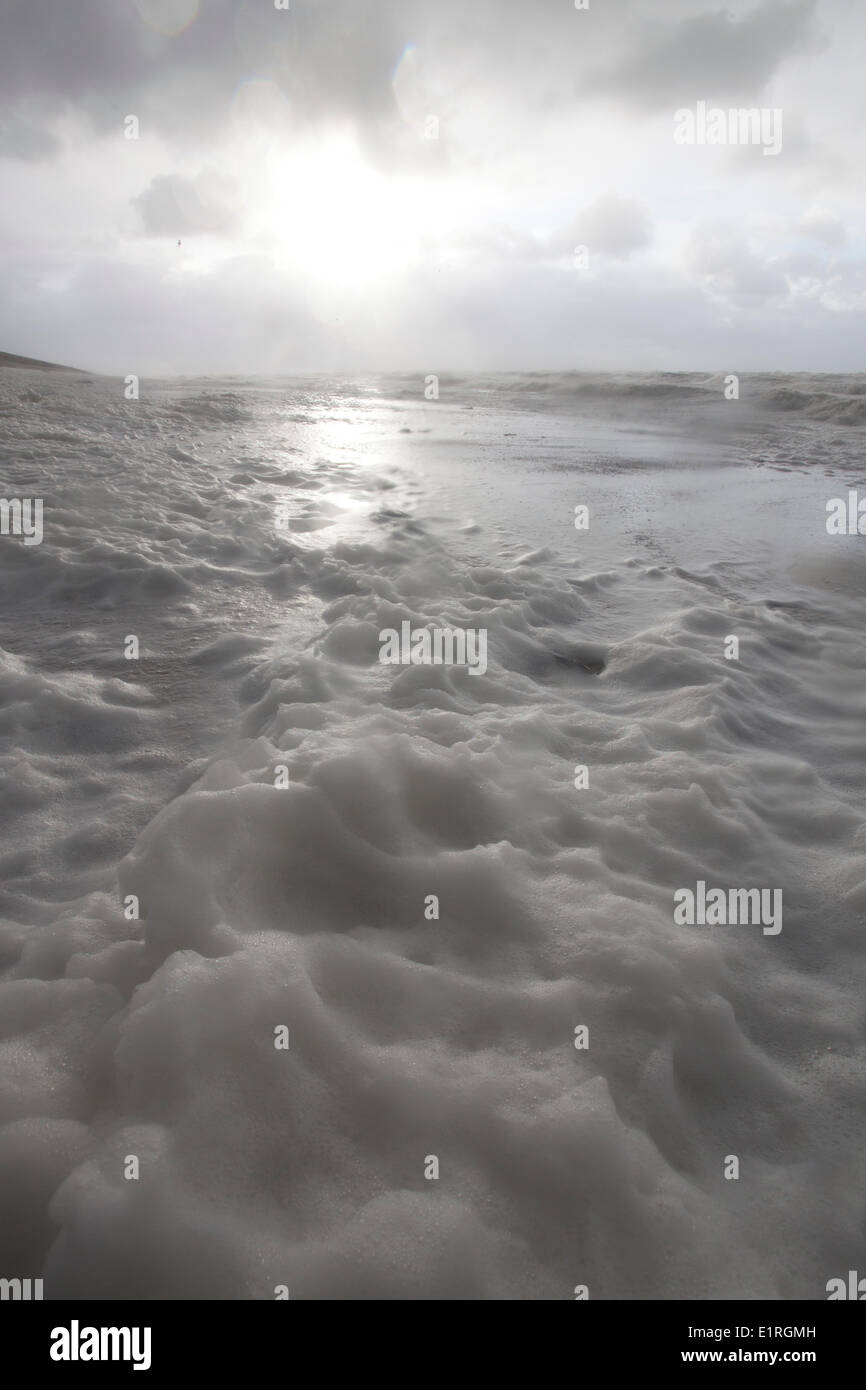 foam on the beach Stock Photo - Alamy