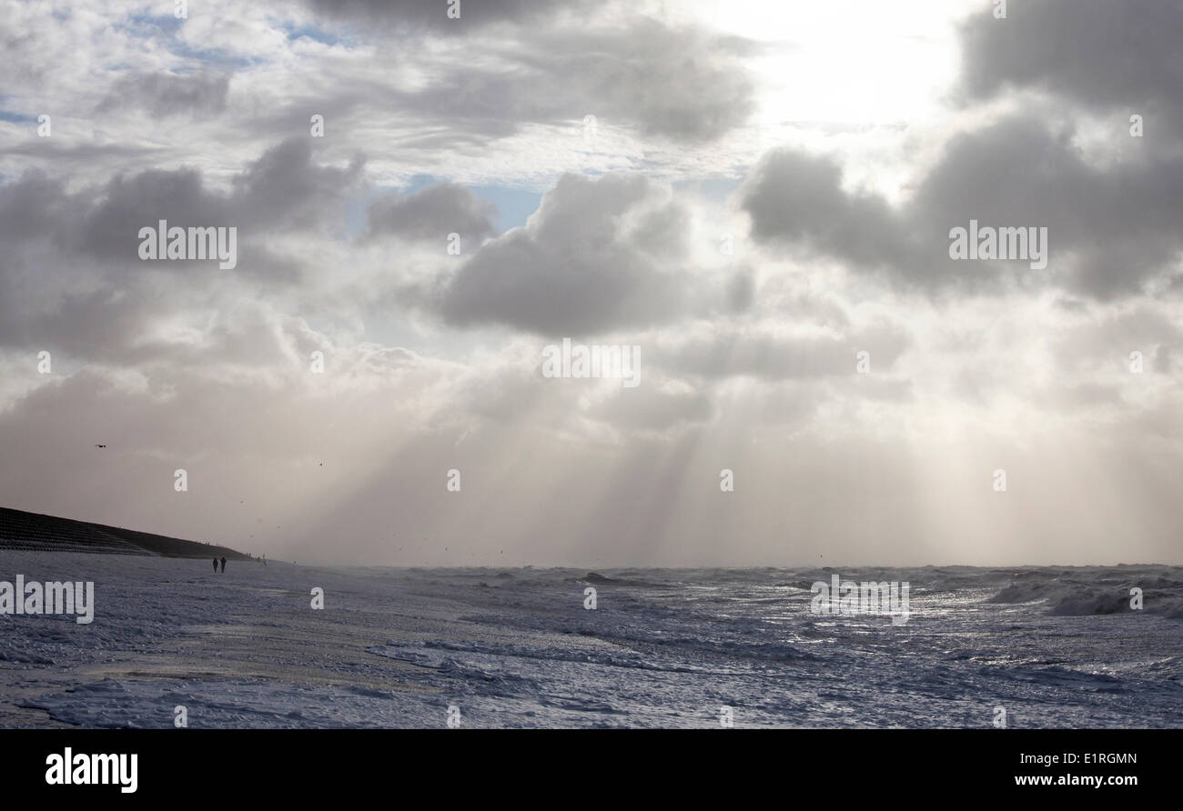 against the light Stock Photo - Alamy