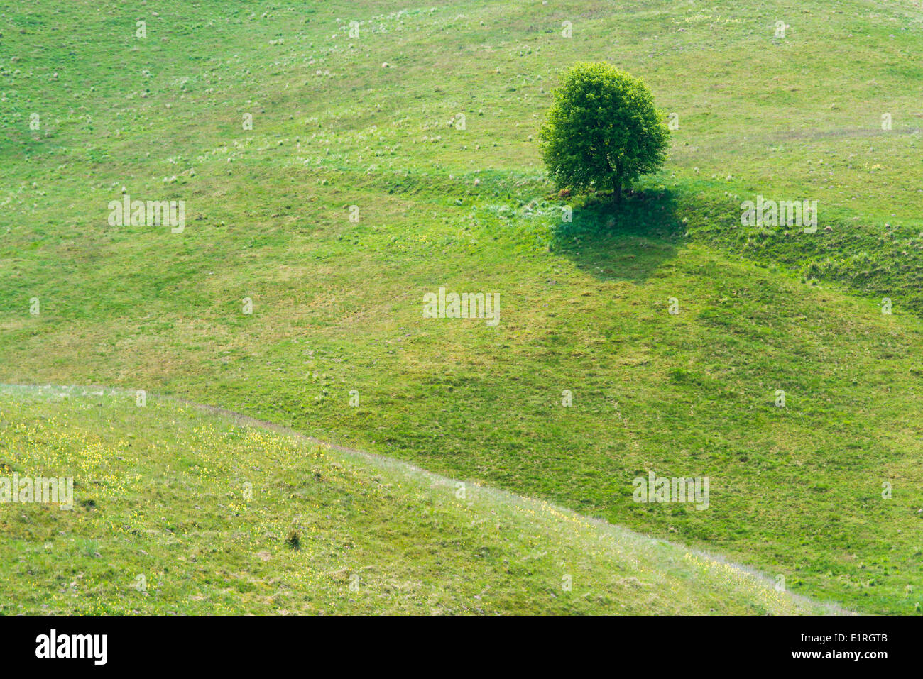 Grasslands and dry meadows hi-res stock photography and images - Alamy