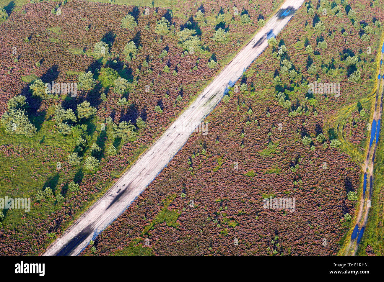 A Heather field seen from the air Stock Photo - Alamy