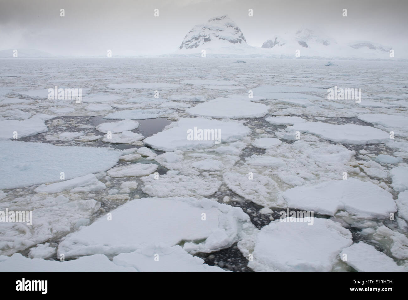 The amount of sea ice in this area was quite unusual for this time of ...