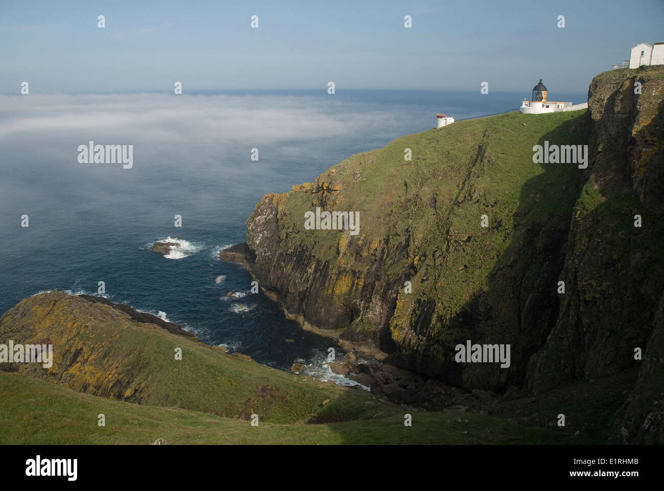 view from the cliffs of Saint Abbs Head Stock Photo - Alamy