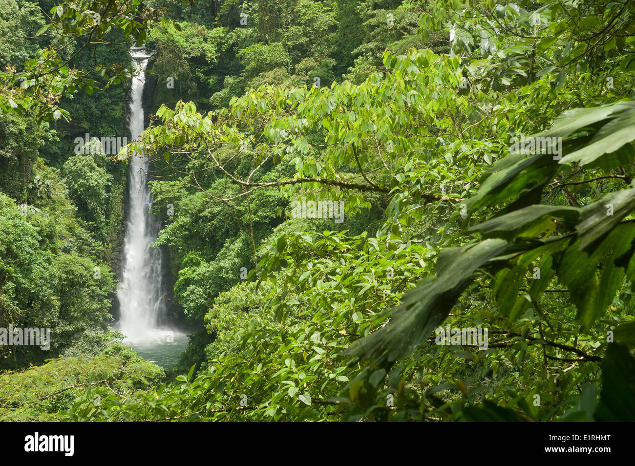 Tropical rainforest with waterfall Stock Photo - Alamy