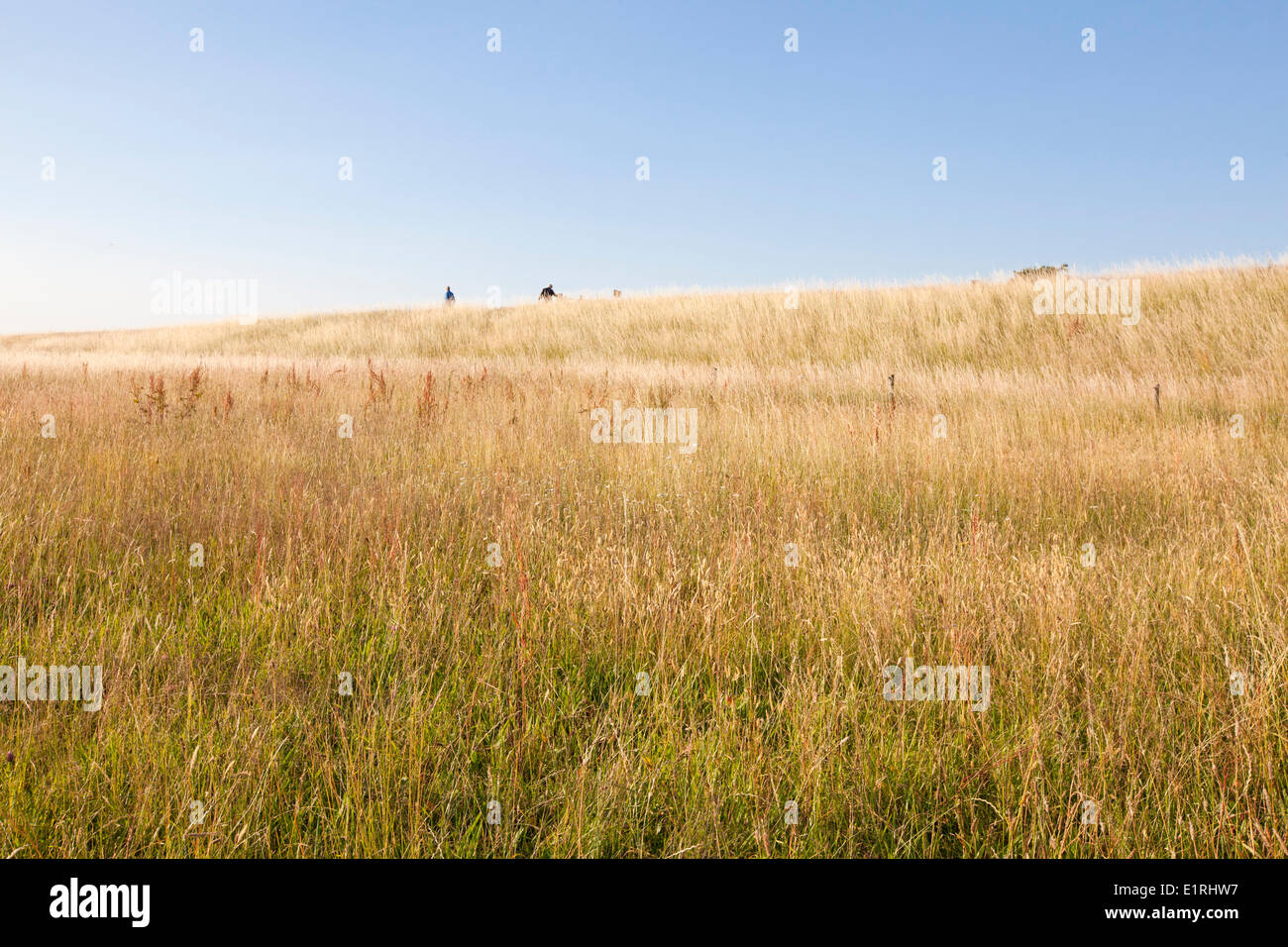 Ijssel dikes hi-res stock photography and images - Alamy
