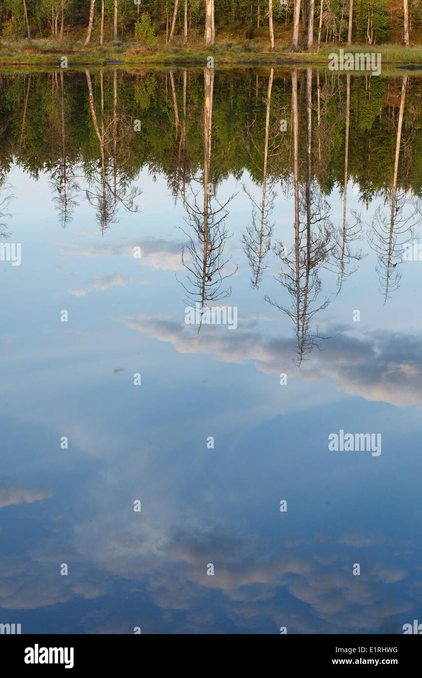 reflection in the lake Stock Photo - Alamy